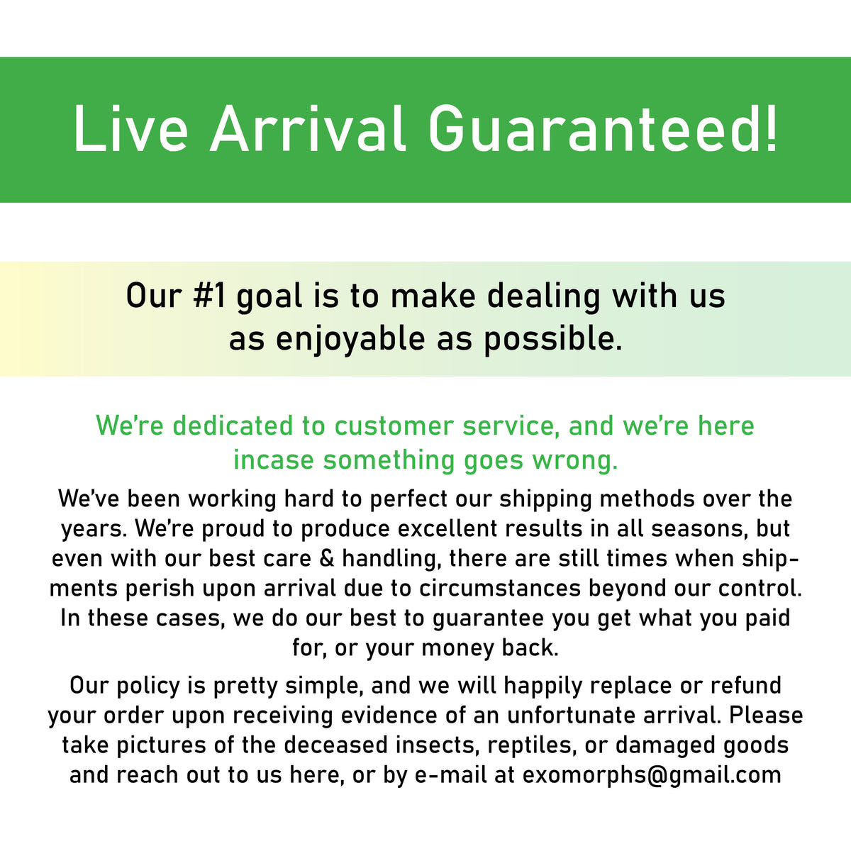 Porcellionides pruinosus Powder Orange Powder Blue "Party Mix" Isopods ...